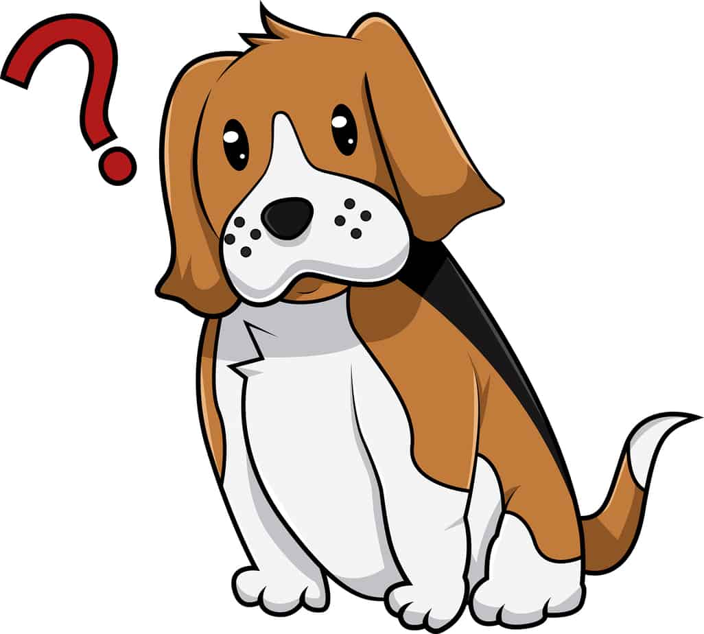 Make Language Learning Fun (25 Helpful Ways Explained) – Doublespeak Dojo